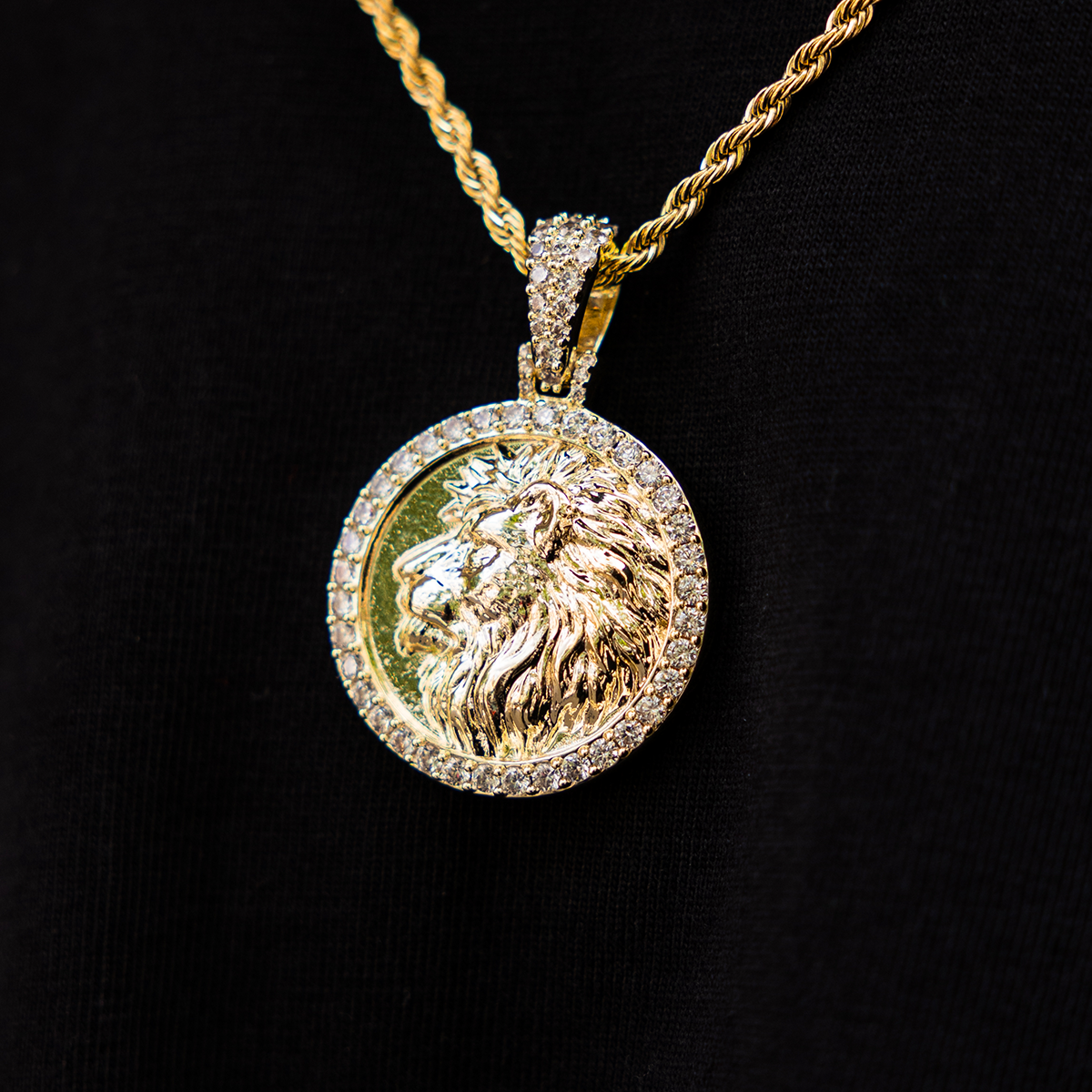 Lion Coin Pendant – The GLD Shop